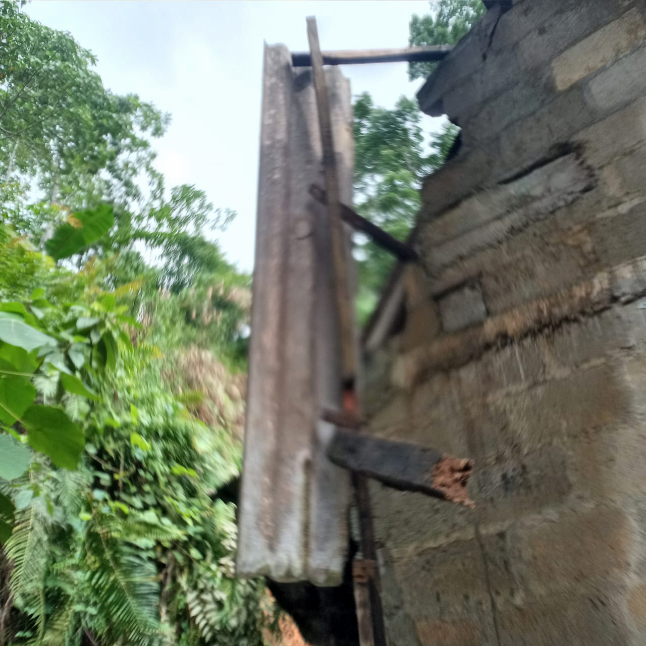 Adaptation to climate change impacts and disaster risk reduction ...